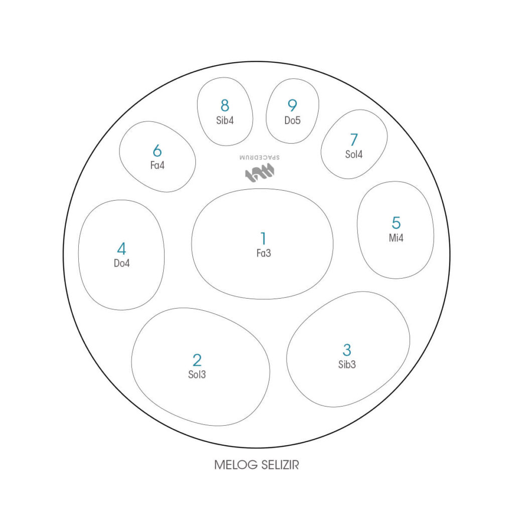 ハンドパン9和音モデル Handpan Melog Selizir ハンドパン購入